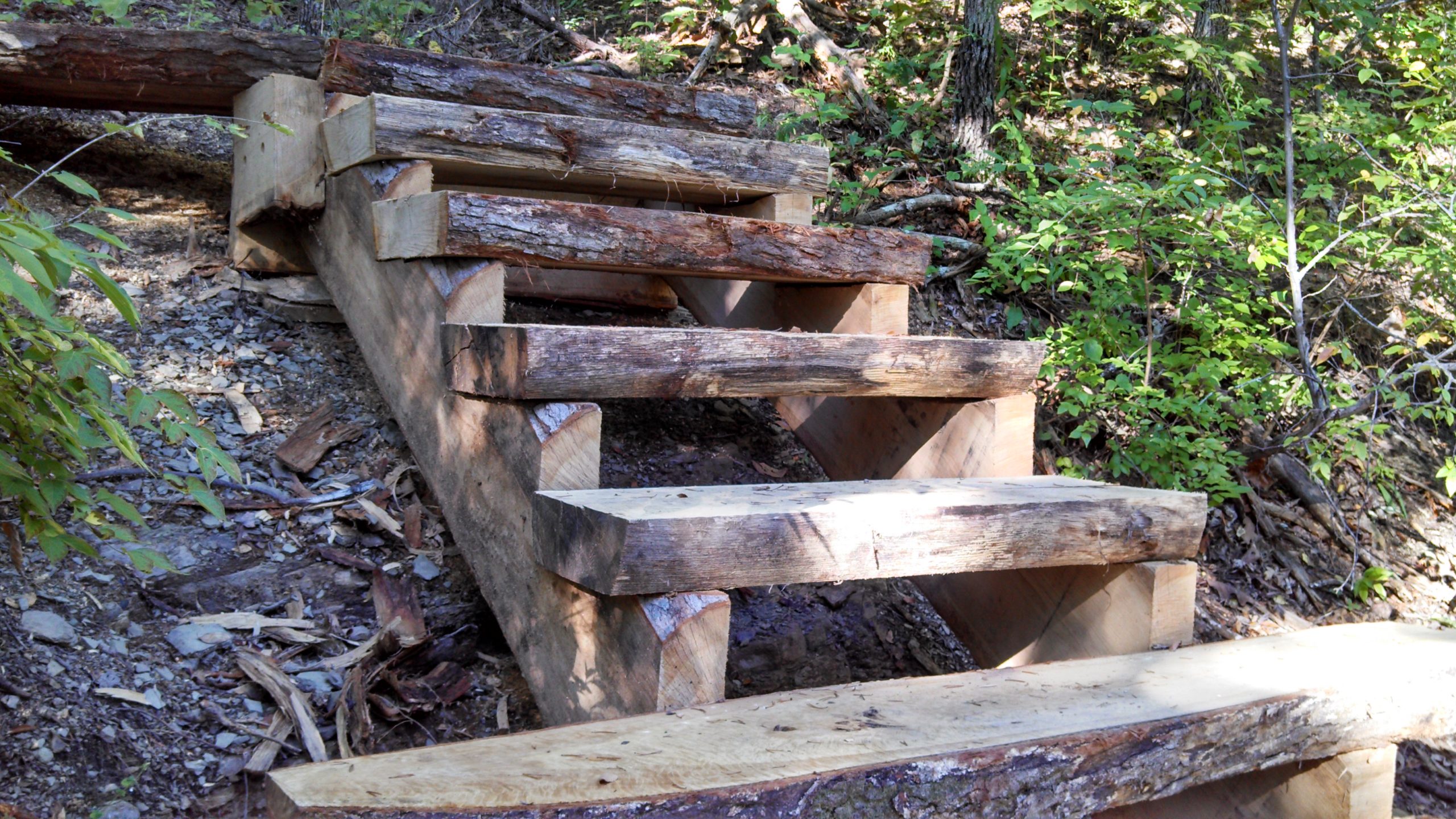 Stringer\'s Ridge Stairs - Wild Trails - Chattanooga's trail protection ...